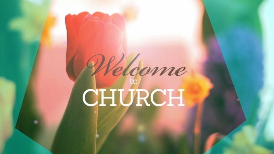 Welcome Spring Flower Background Loop | Oneness Videos | SermonSpice